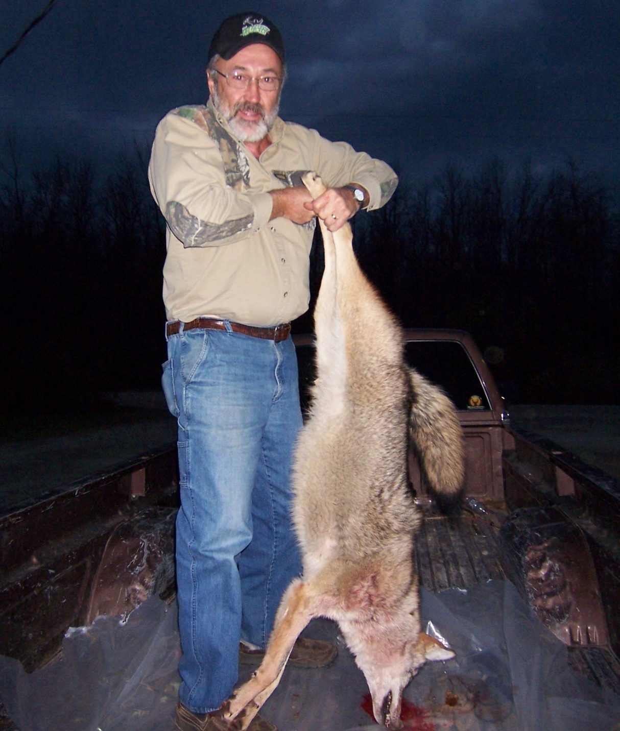 The coyote found in Michigan is the ultimate survivor during today’s ...