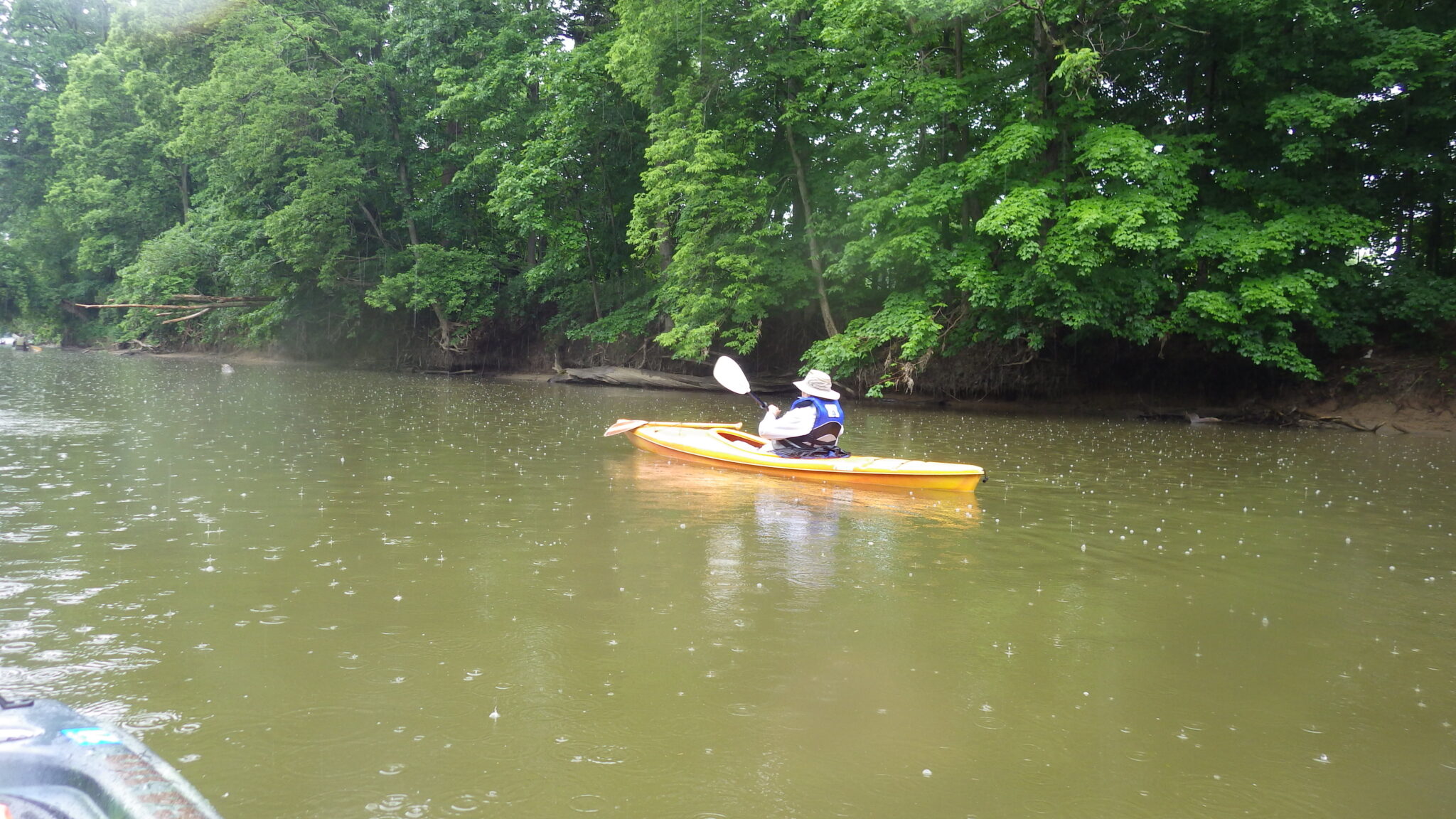 Enjoy Paddling In Michigan's Great Outdoors