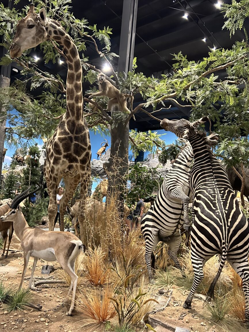 The new Jay’s and Webber Wildlife Education Center is a great place for